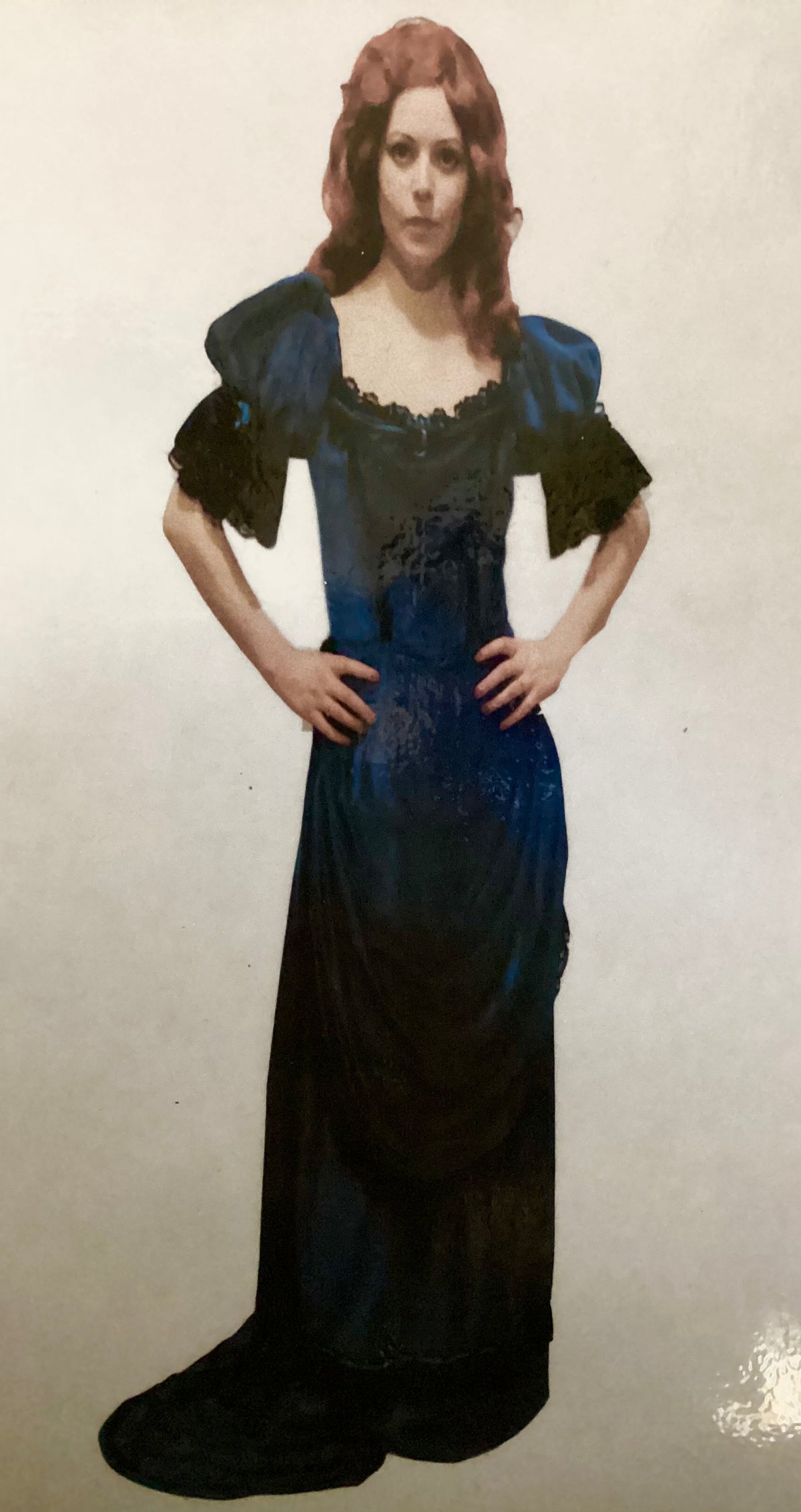 Victorian Lady/Period Drama Dress Ex-hire | Fancy Dress Hire Costume ...